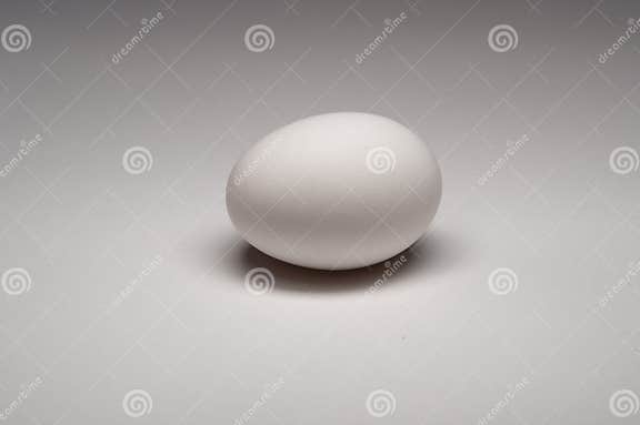 One White Egg stock photo. Image of farm, edible, cuisine - 16833206