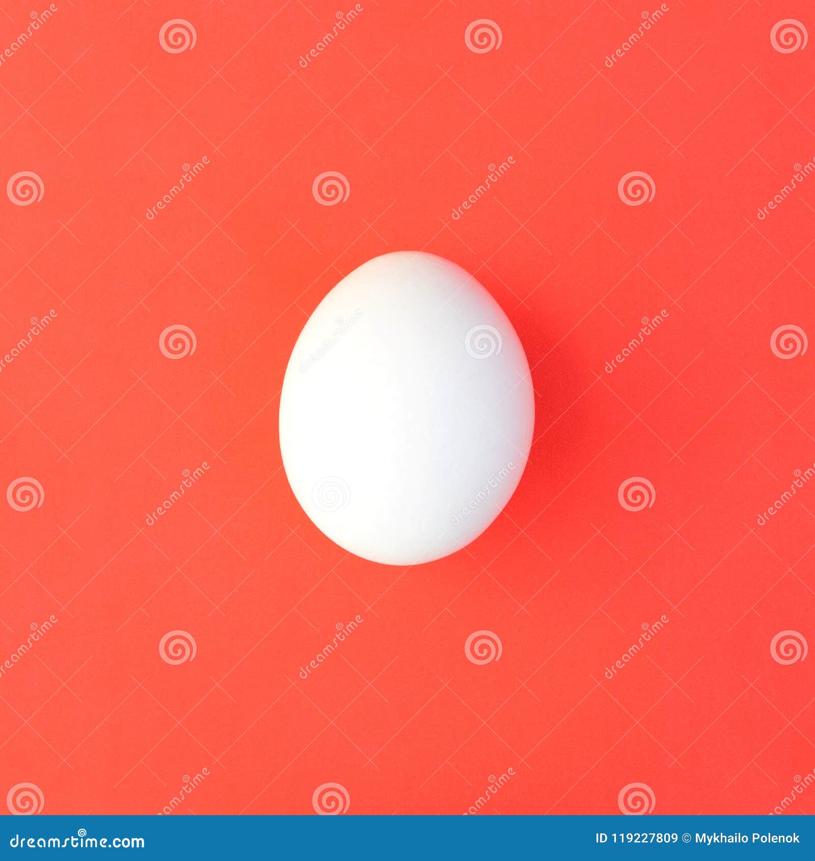 One White Egg on a Bright Red Background Stock Image - Image of fragile ...