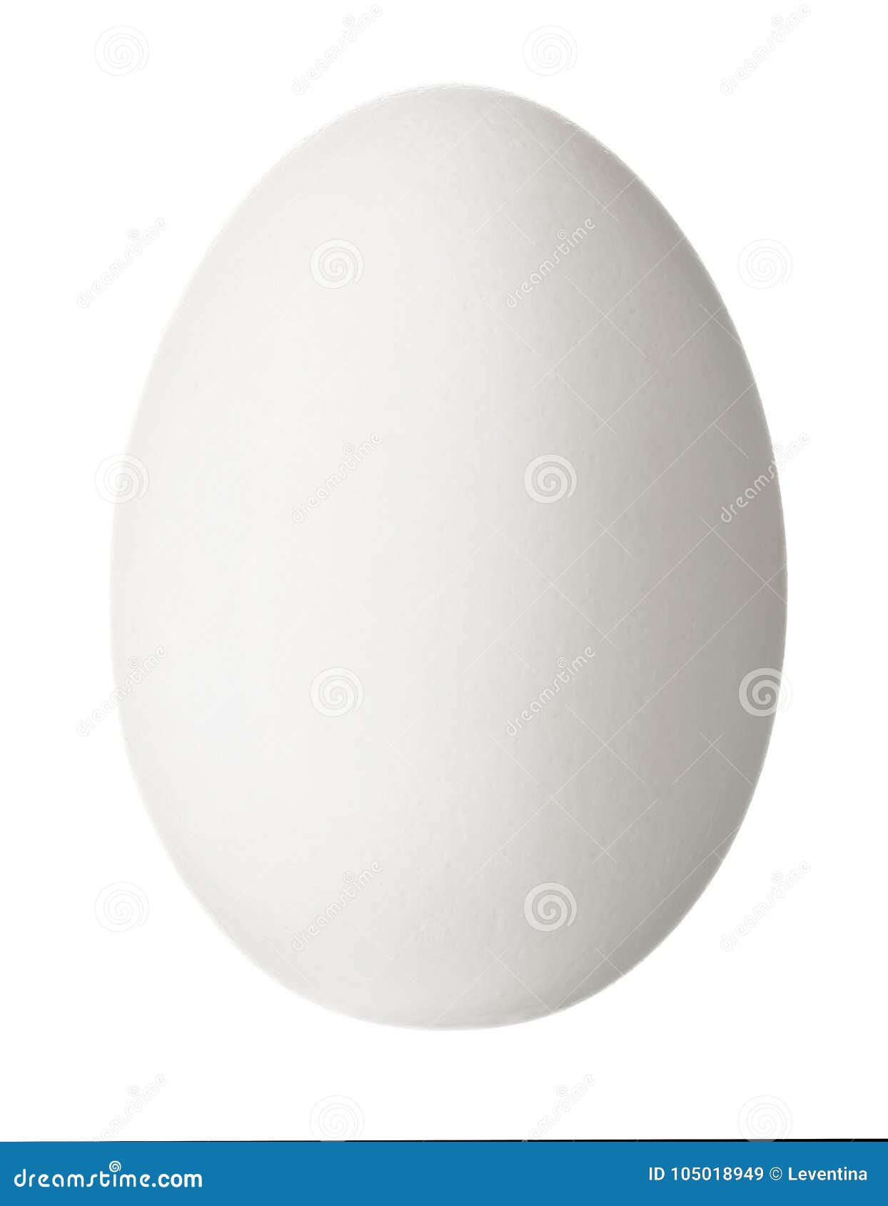 One white egg stock image. Image of husk, bird, easter - 105018949