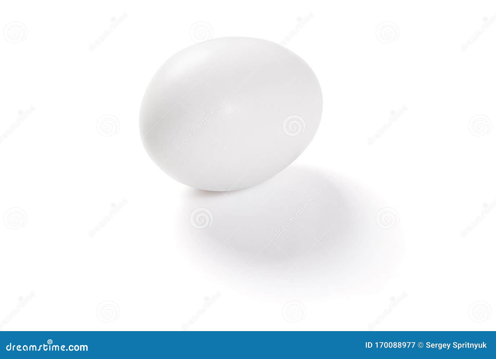 One White Egg with a Shadow on a White Background Stock Image - Image ...