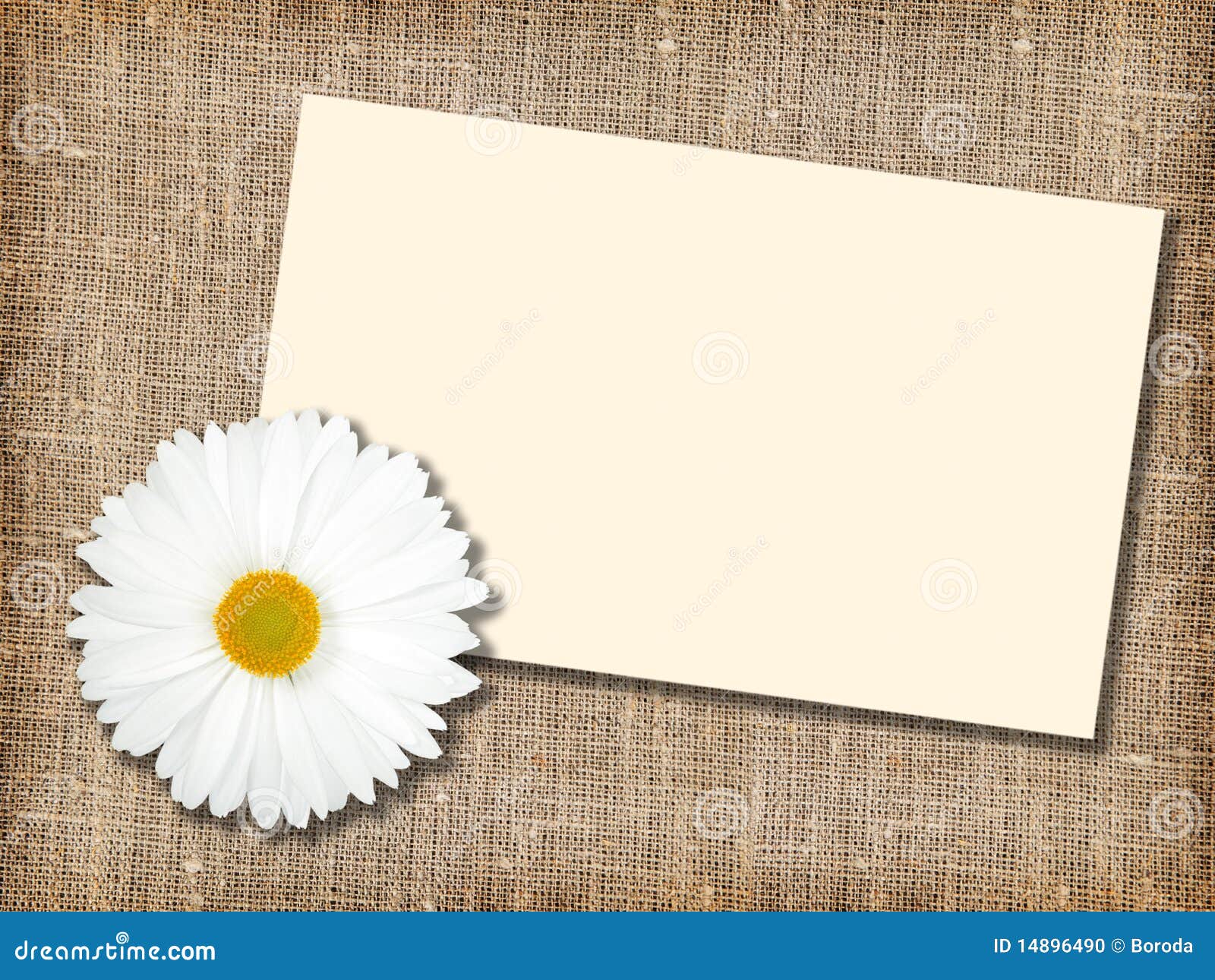 One White Flower with Message-card Stock Photo - Image of greeting ...