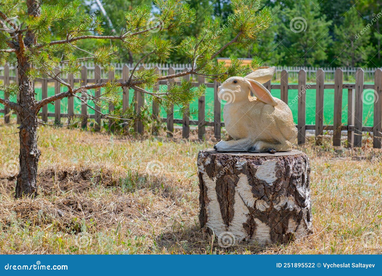 One White Rabbit Sits on a Stump in the Forest Stock Photo - Image of ...