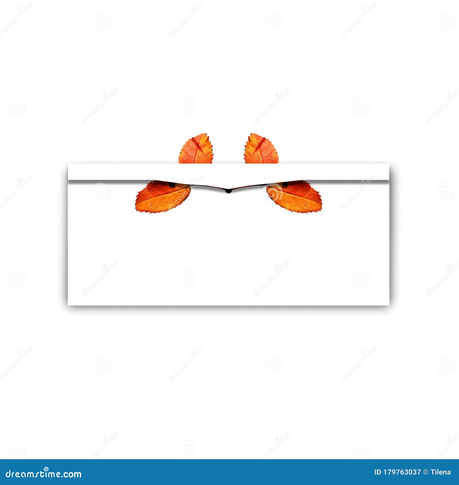 Rectangular Shape with Autumn Leaves at the Top Stock Image - Image of ...