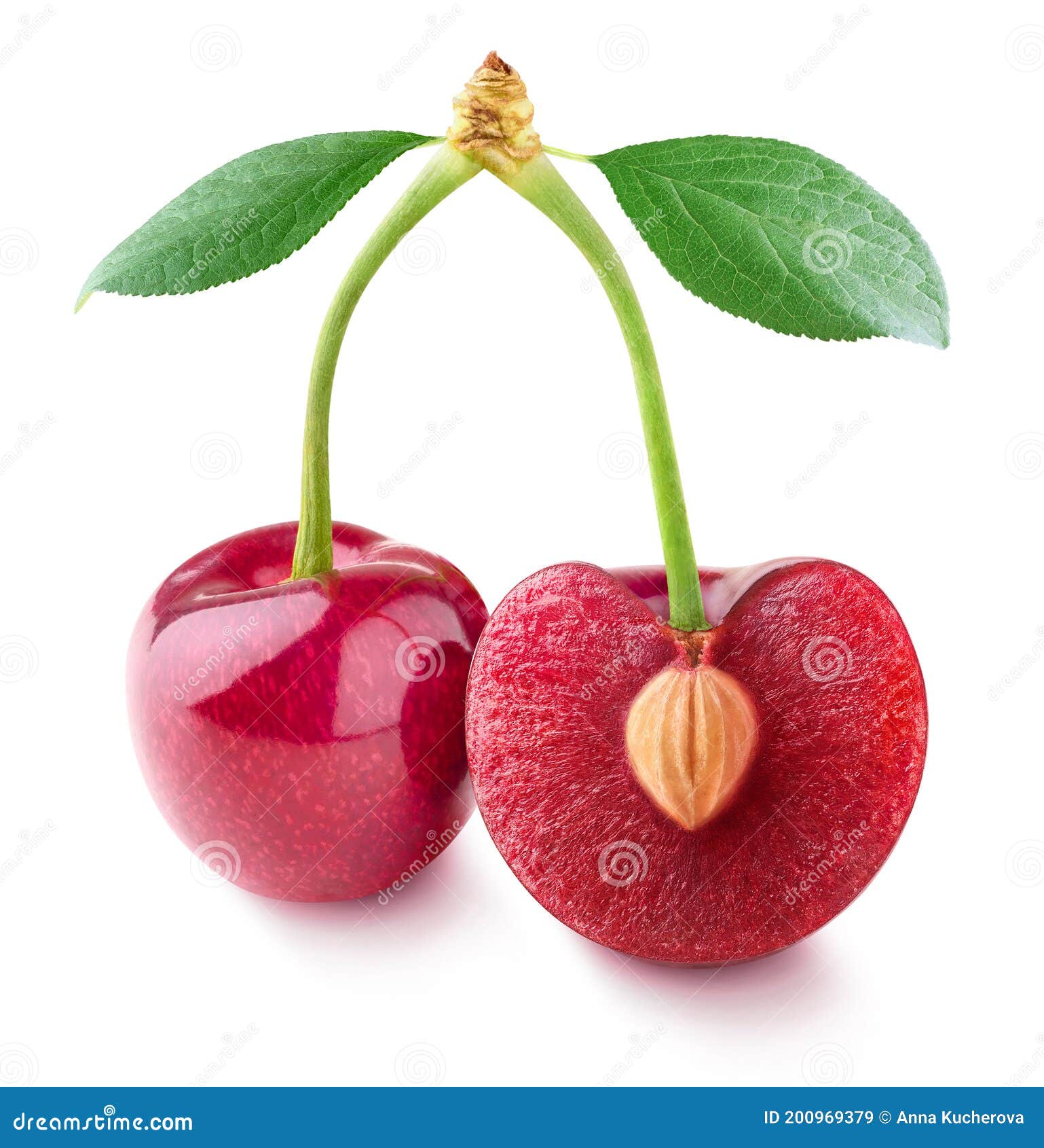 One Whole Cherry Fruit and One Cut in Half with Kernel Isolated on ...