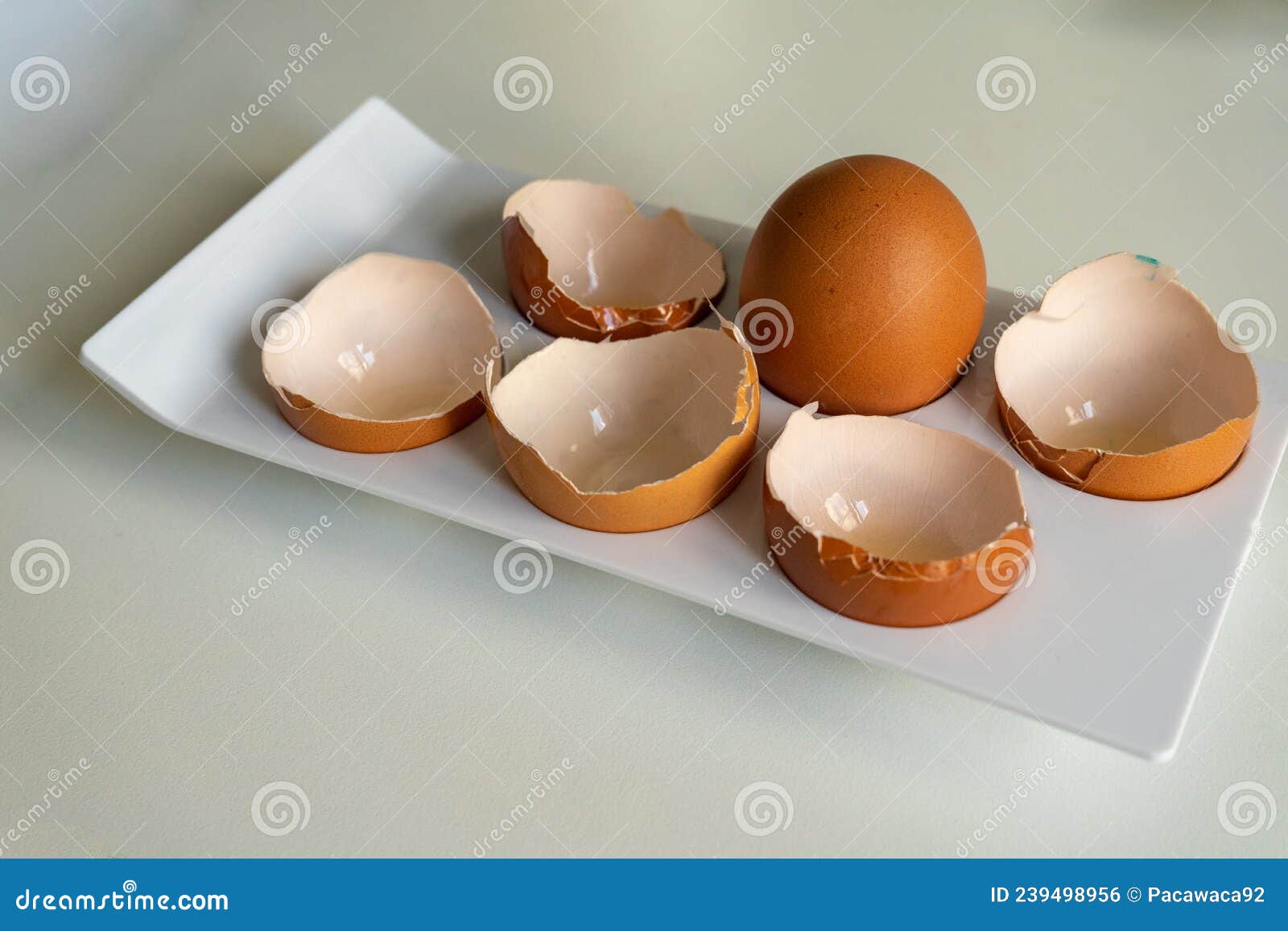 One Whole Chicken Egg among the Shells Stock Photo - Image of splinter ...