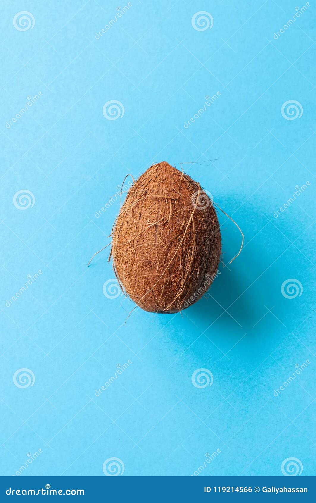 One Whole Coconut on a Blue Background. Stock Photo - Image of exotic ...