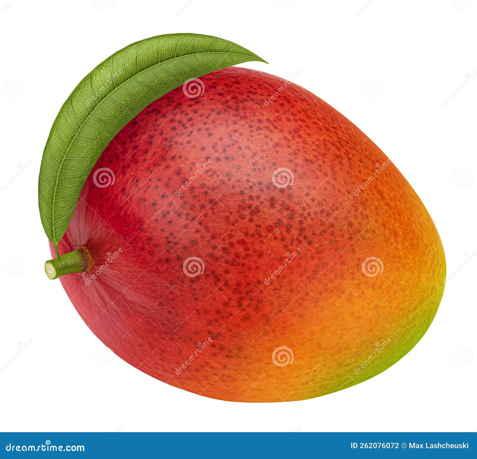 One Whole Mango Fruit Isolated on White Background Stock Photo - Image ...