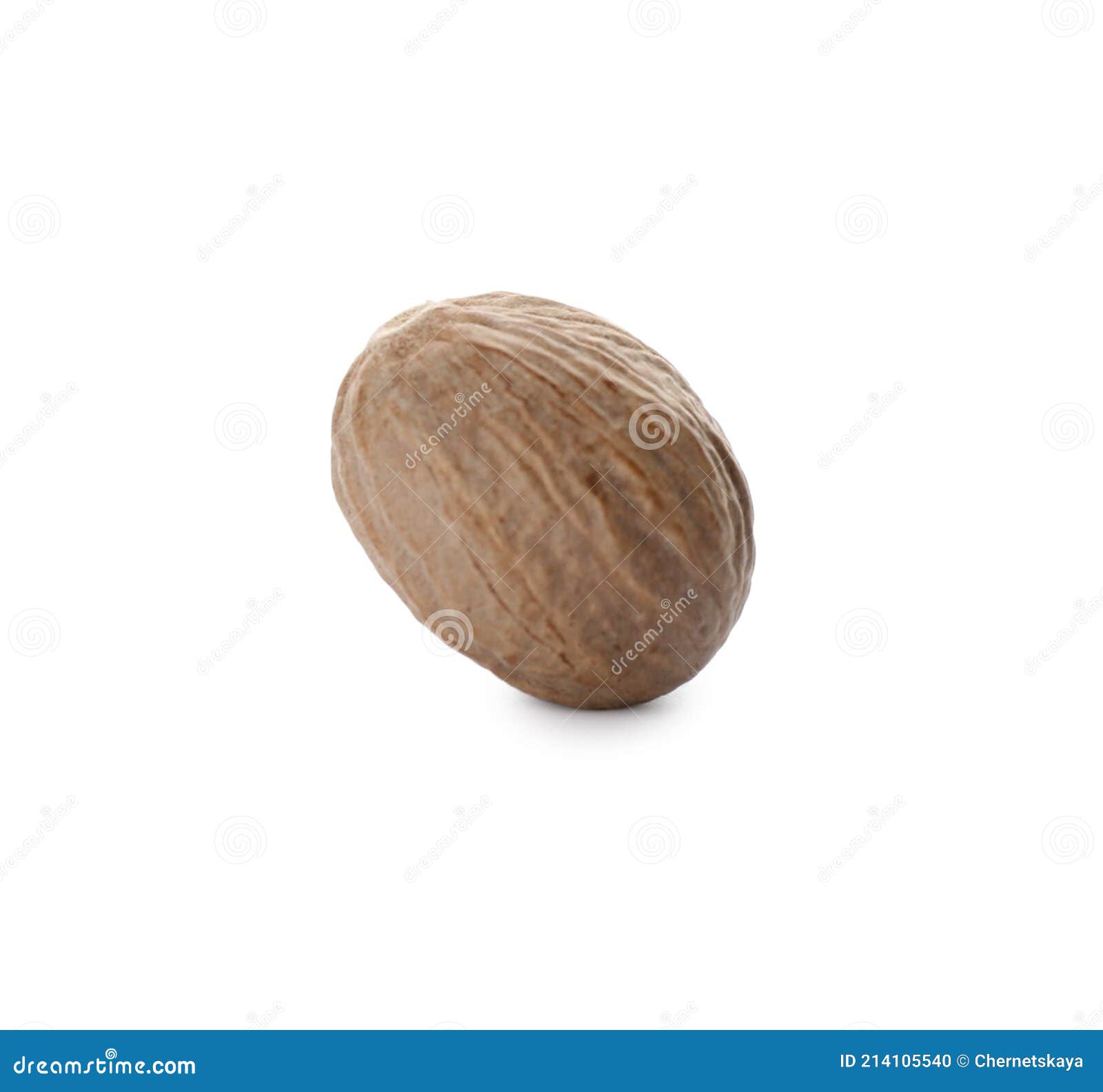 One Whole Nutmeg Seed Isolated on White Stock Photo - Image of nature ...