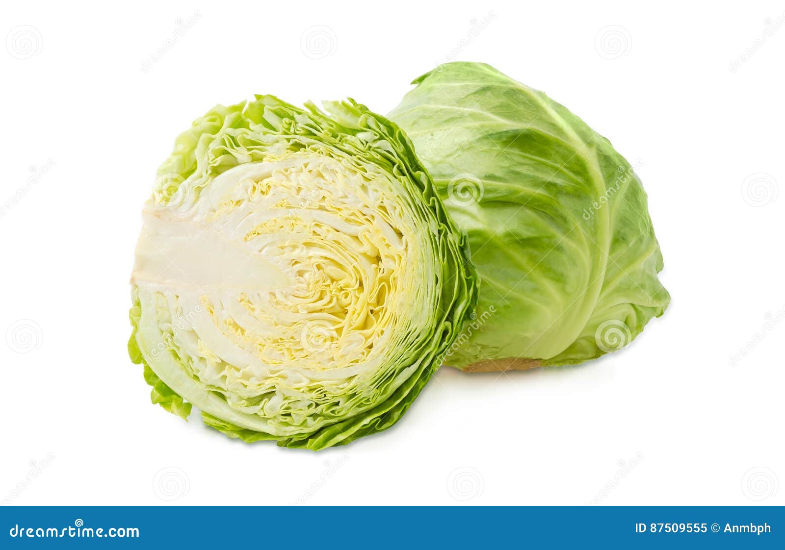 One Whole and One Half of the Heads of Cabbage Stock Image - Image of ...