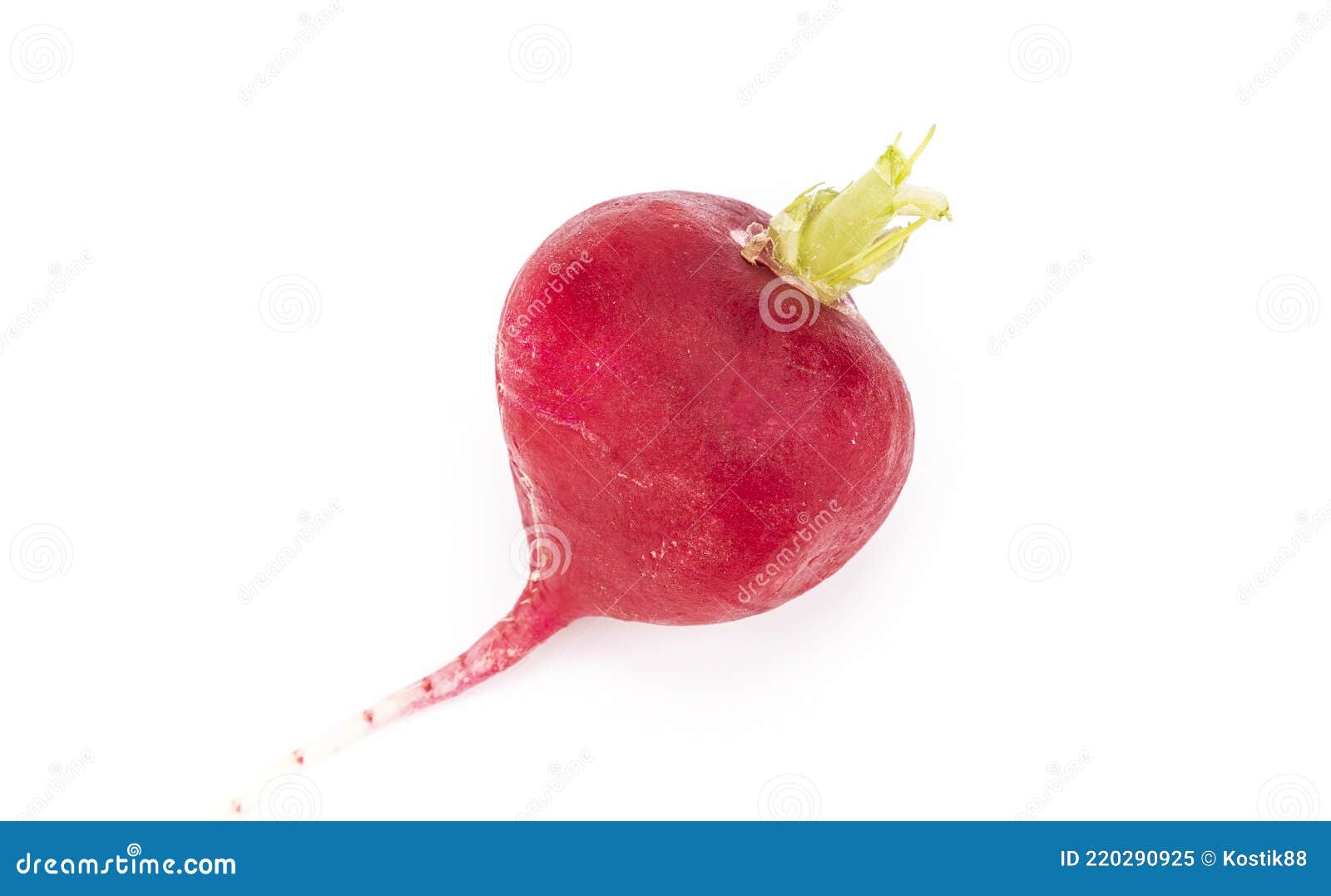 One Whole Radish Root Vegetable on White Background Stock Image - Image ...