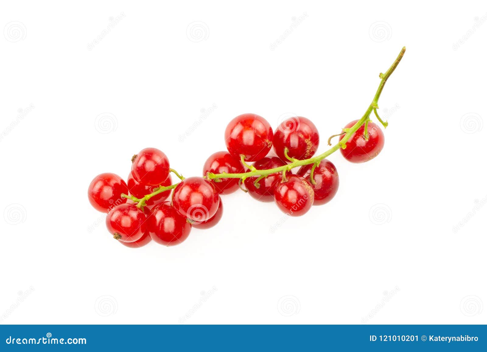 Fresh Raw Red Currant Berry Isolated on White Stock Image - Image of ...