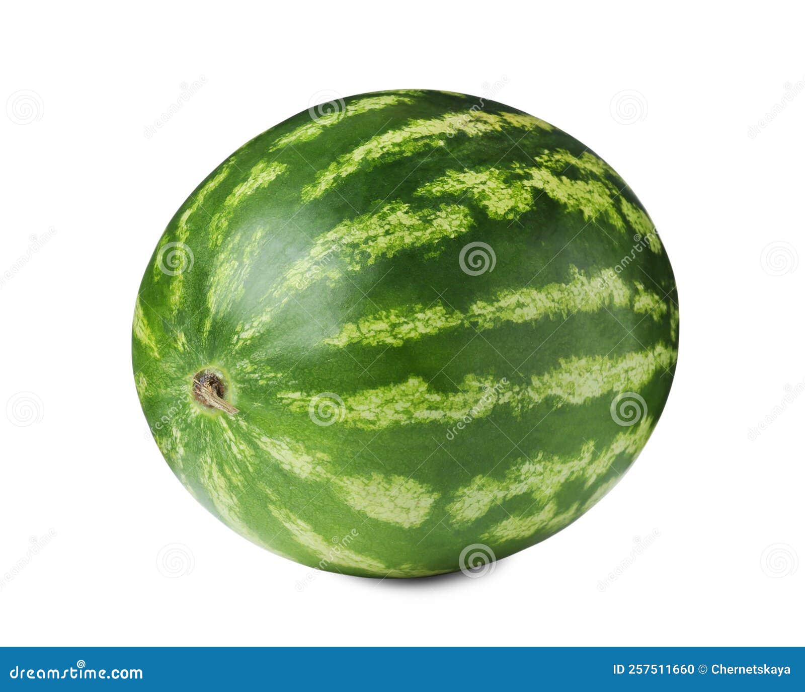 One Whole Ripe Watermelon Isolated on White Stock Photo - Image of ...