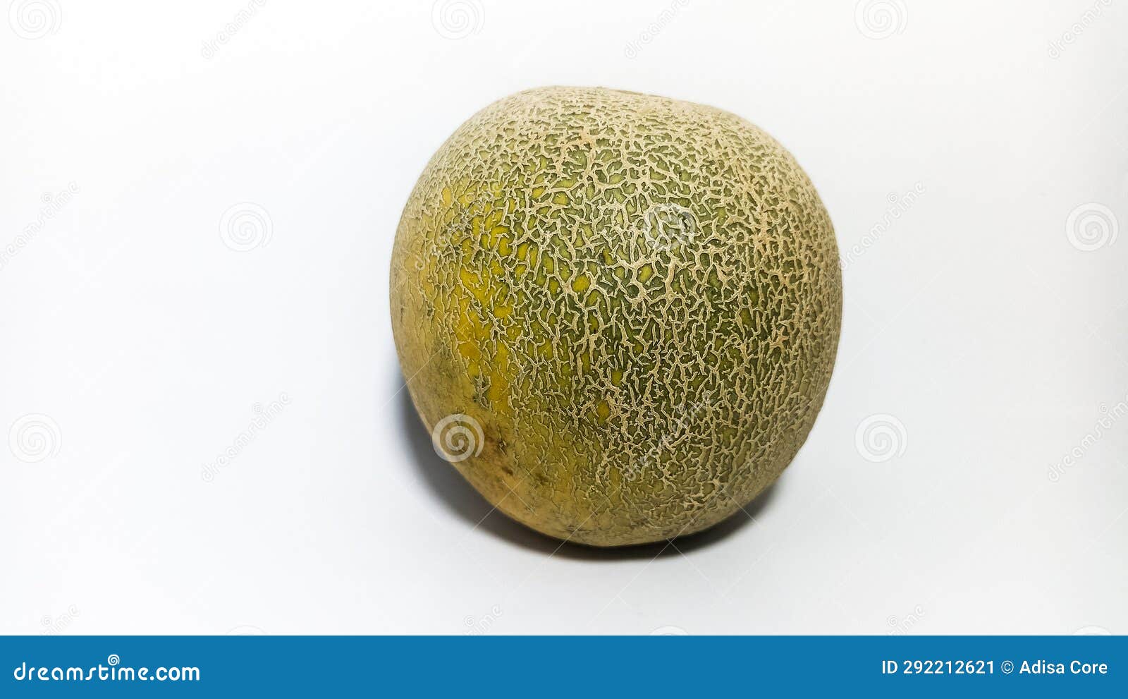 One Whole Round Melon on an Isolated White Background in Eye Level View ...