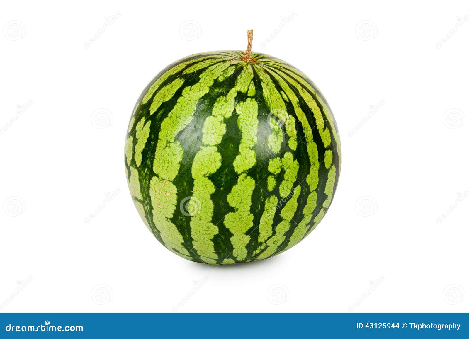 One whole Watermelon stock photo. Image of object, stripes - 43125944