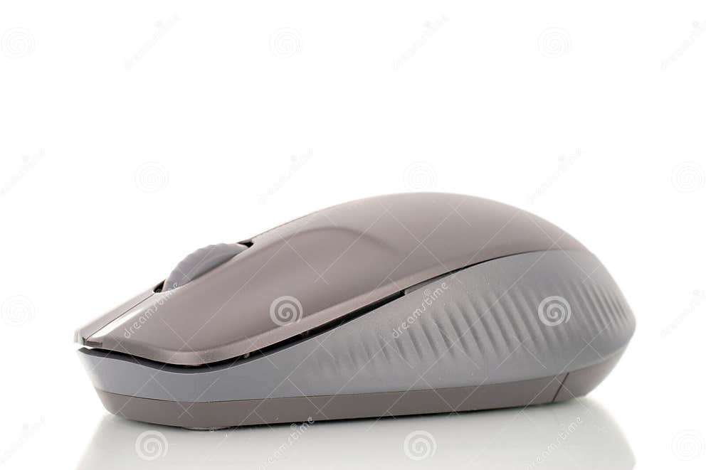 One Wireless Computer Mouse, Macro, Top View and Isolated on White ...