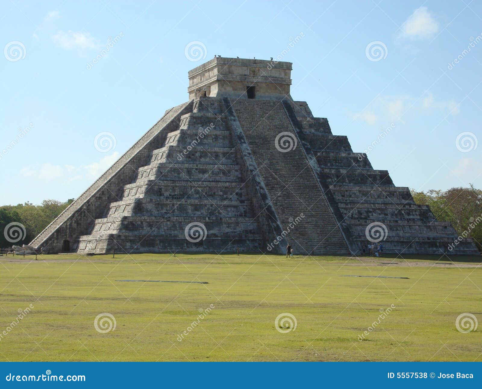 The one wonder stock photo. Image of snake, chichen, feathered - 5557538