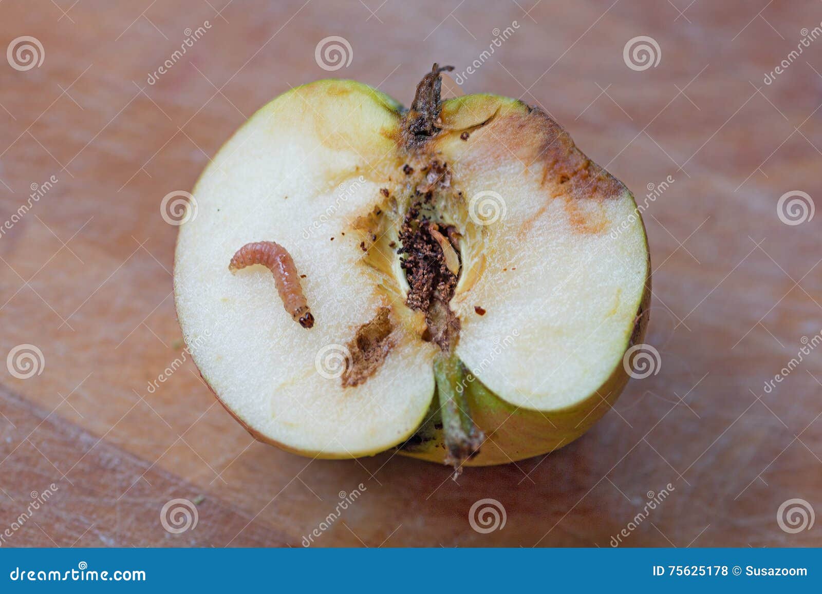 One Wormy Apple with Larva on Wooden Background Stock Photo - Image of ...