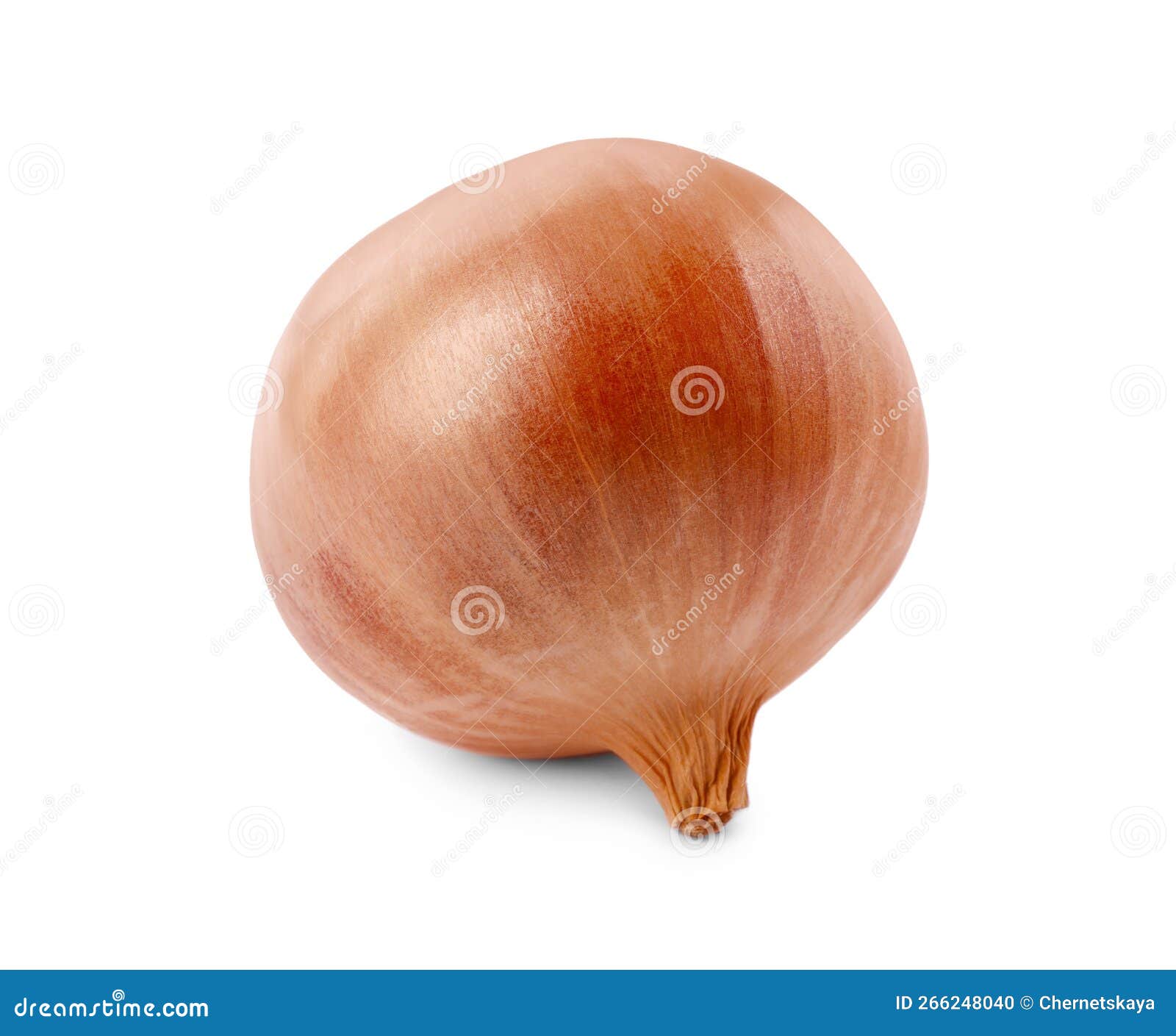 One Yellow Fresh Onion Isolated on White Stock Photo - Image of harvest ...