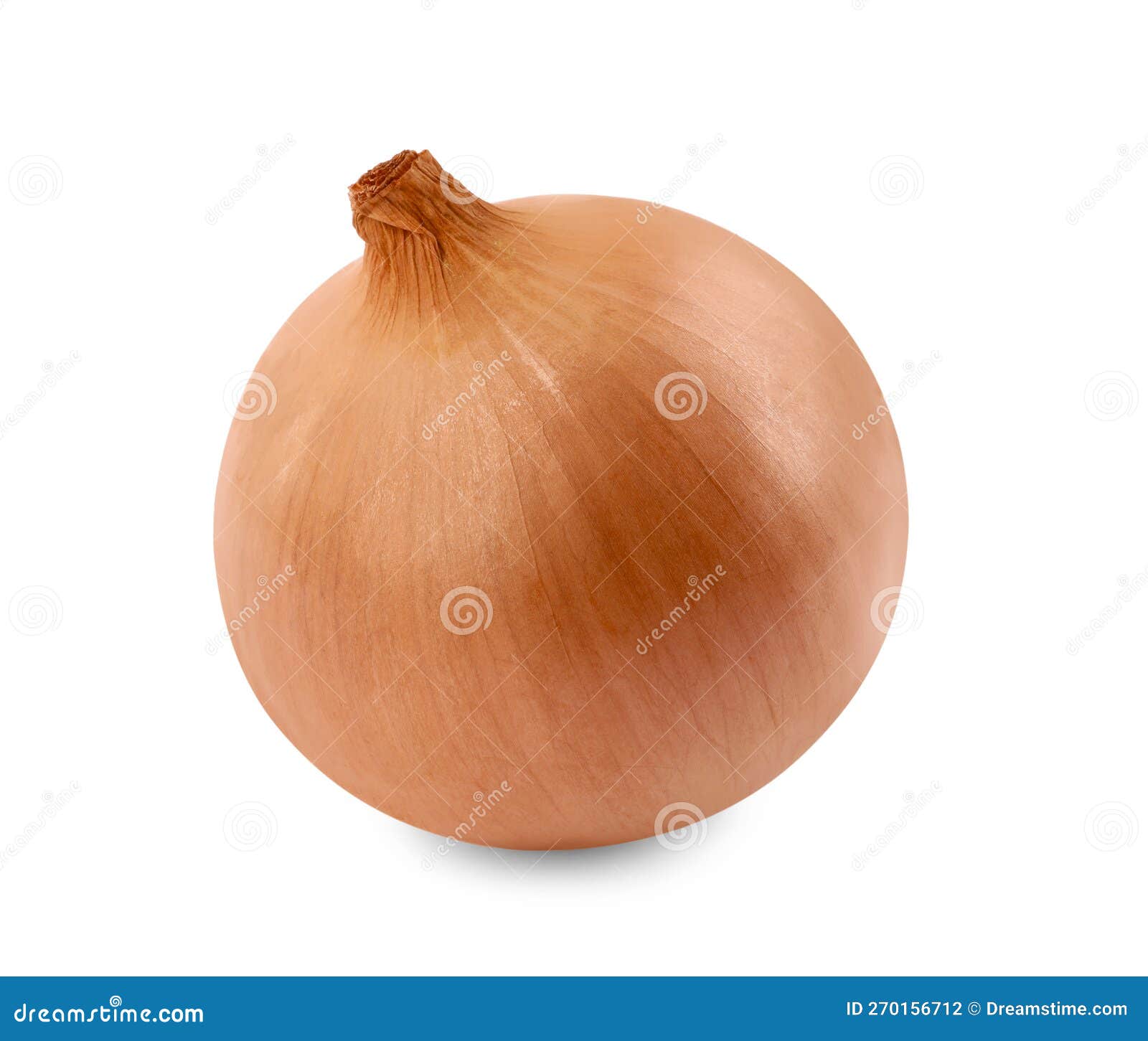 One Yellow Fresh Onion Isolated on White Stock Photo - Image of round ...
