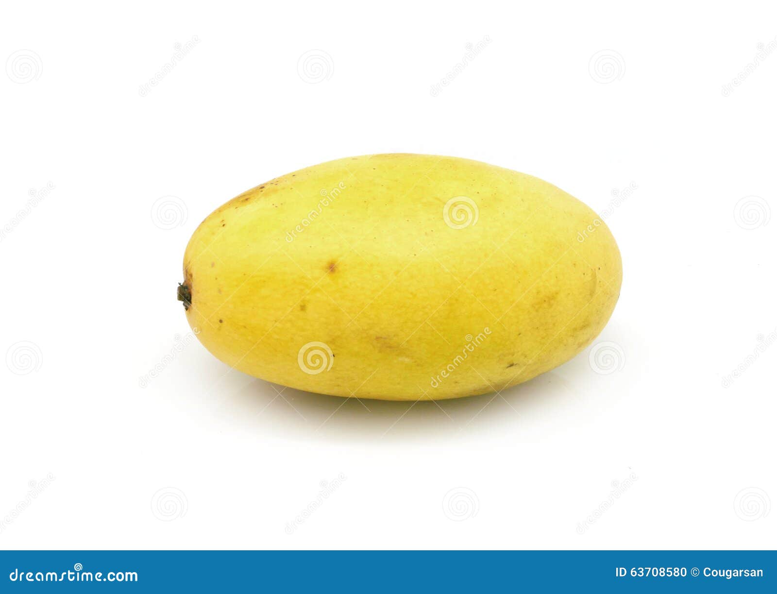 One yellow mango stock photo. Image of healthy, dessert - 63708580