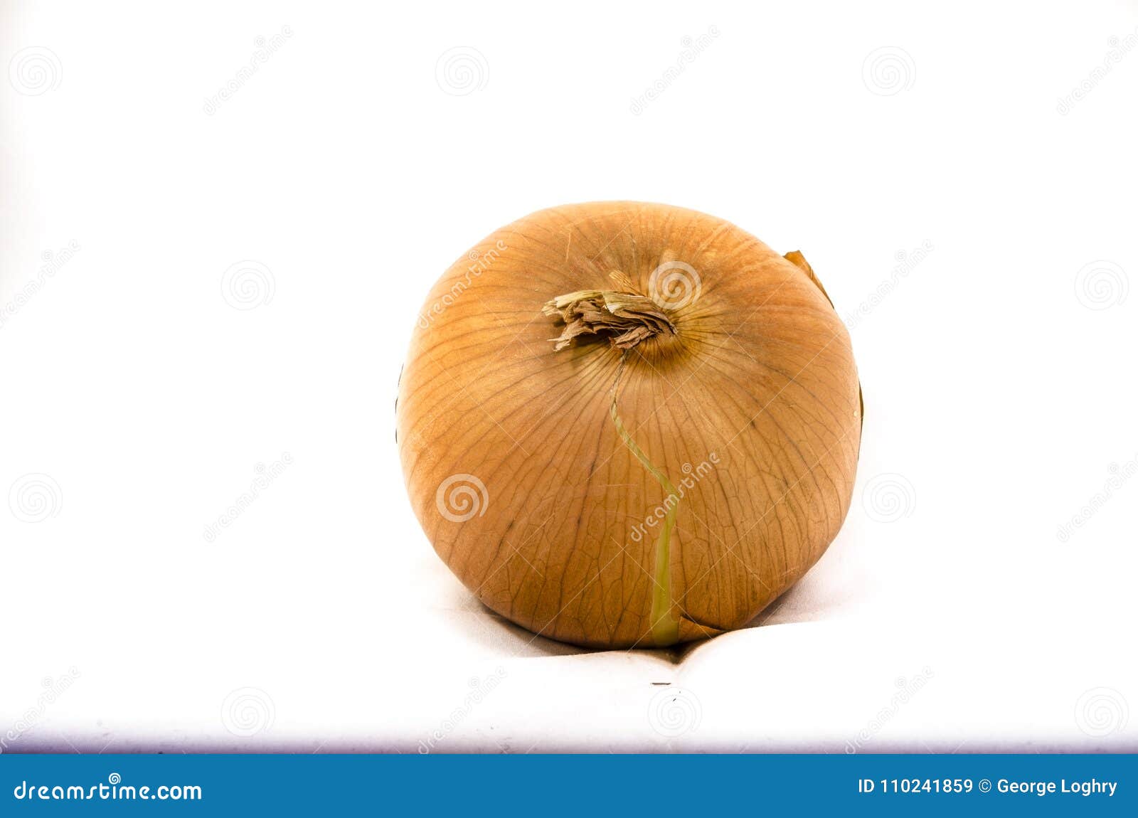 One yellow onion stock image. Image of colour, onion - 110241859