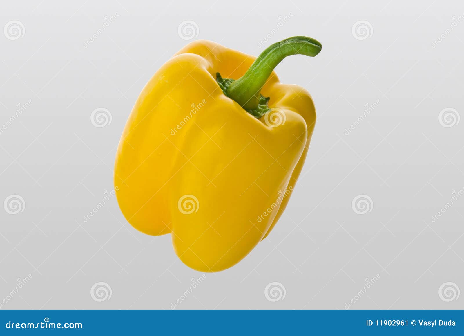 One yellow pepper stock image. Image of healthy, agriculture - 11902961