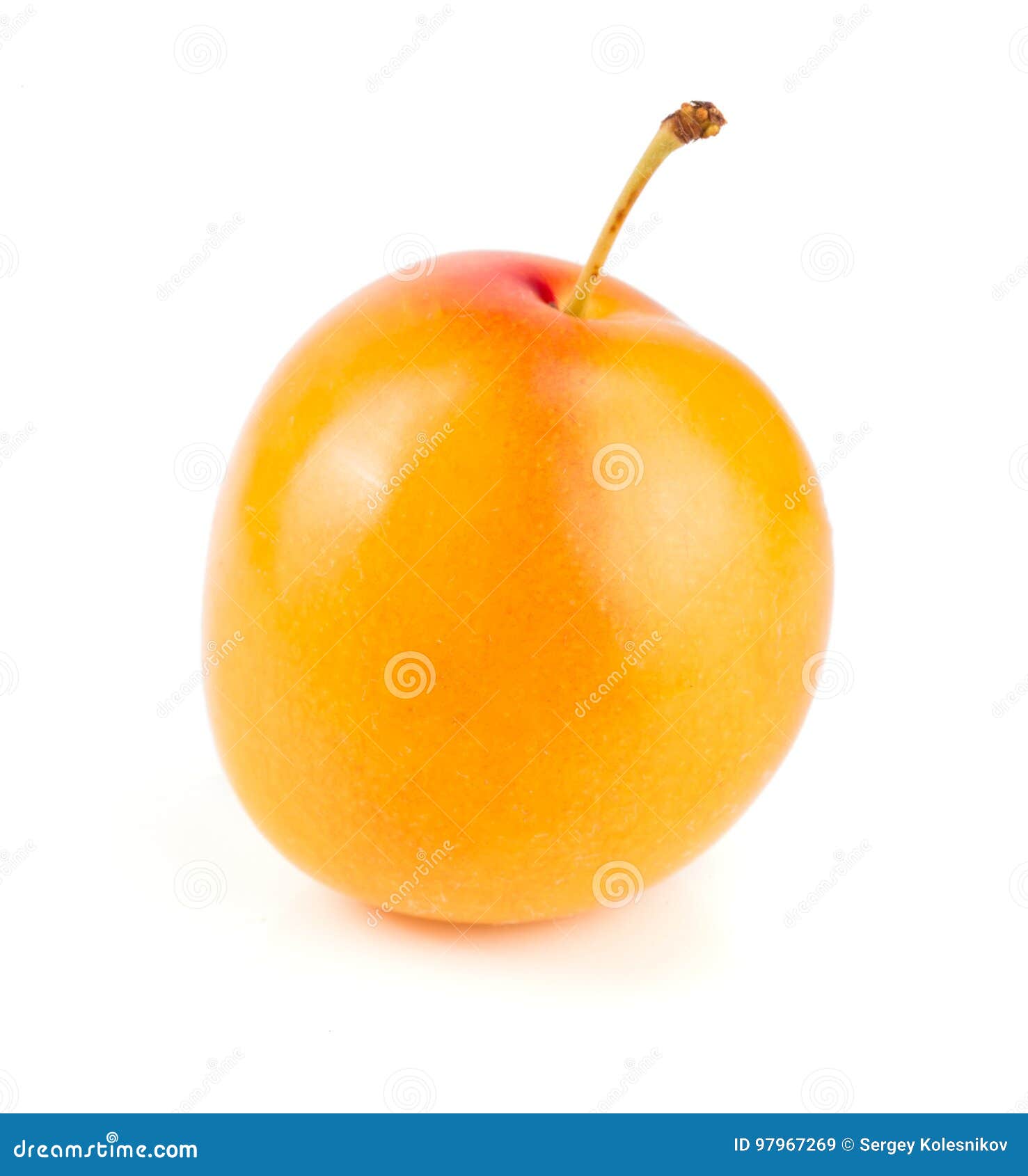 One Yellow Plum Isolated on White Background Stock Image - Image of ...