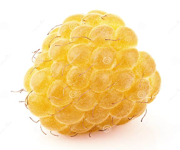 Single Yellow Raspberry Fruit on White Stock Image - Image of shot ...