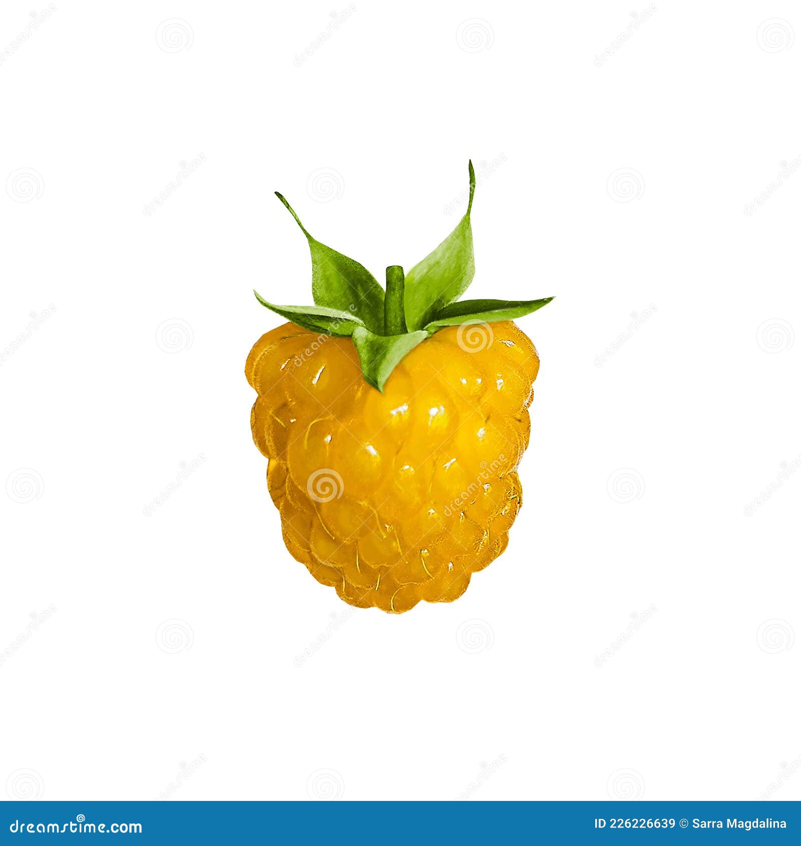One Yellow Raspberry Fruit Isolated Stock Image - Image of natural ...