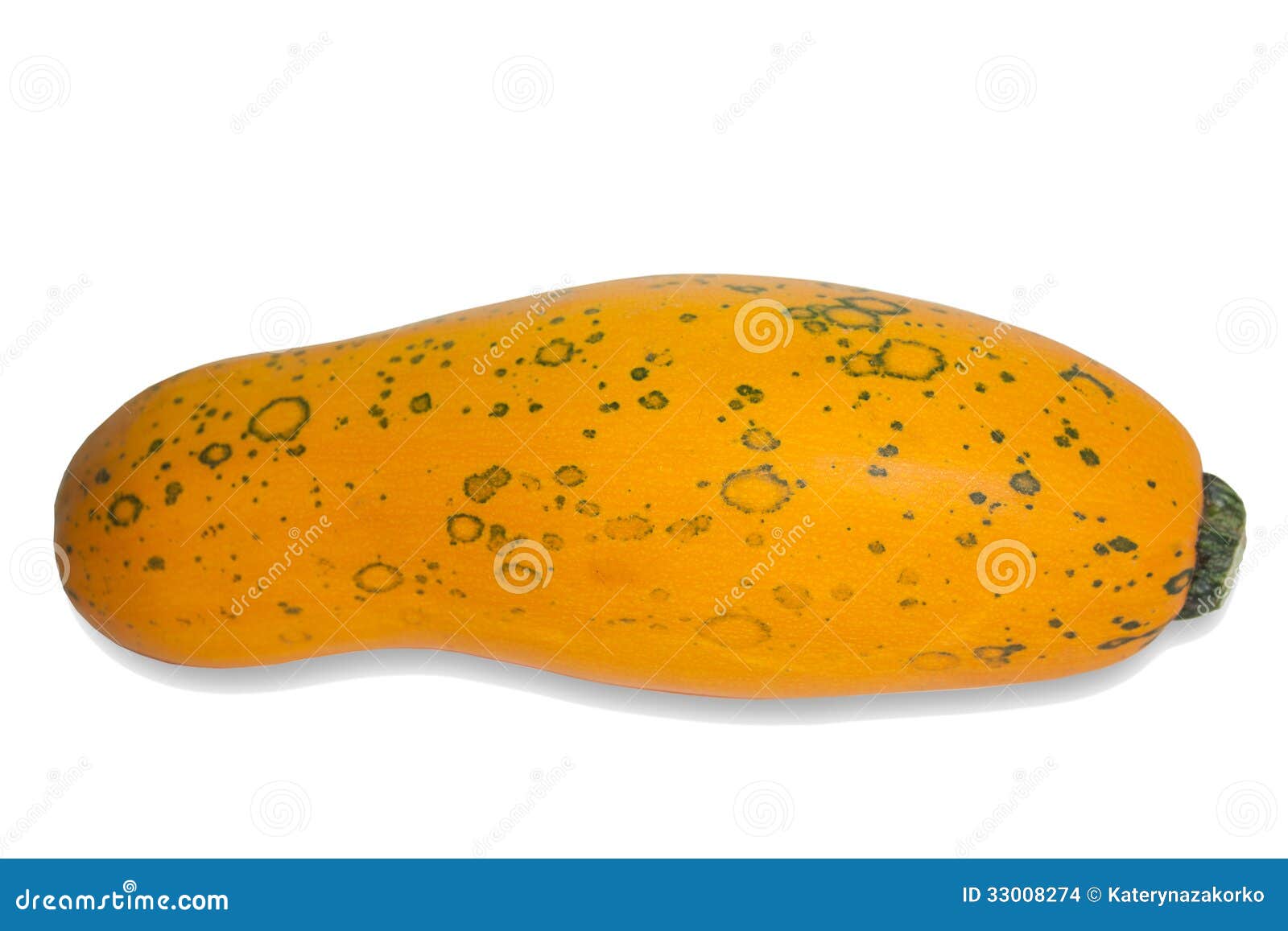 One Yellow Vegetable Marrow Stock Photo - Image of fresh, market: 33008274