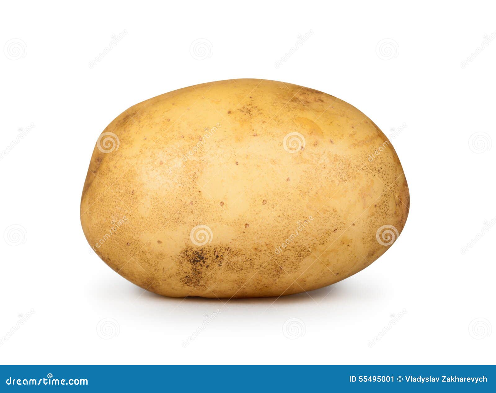 One young potatoes stock image. Image of tuber, protein - 55495001
