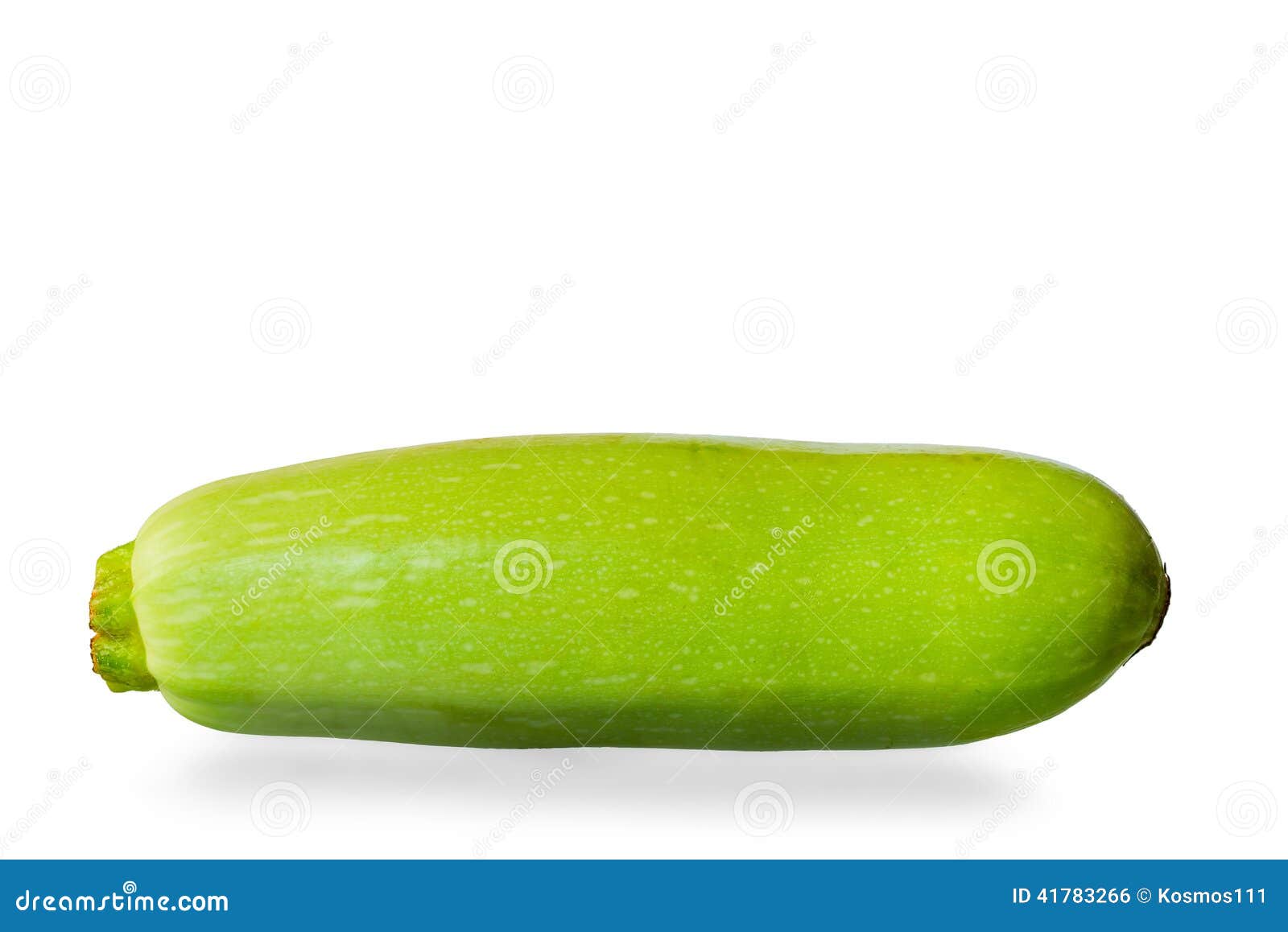 One young zucchini stock photo. Image of healthy, green - 41783266