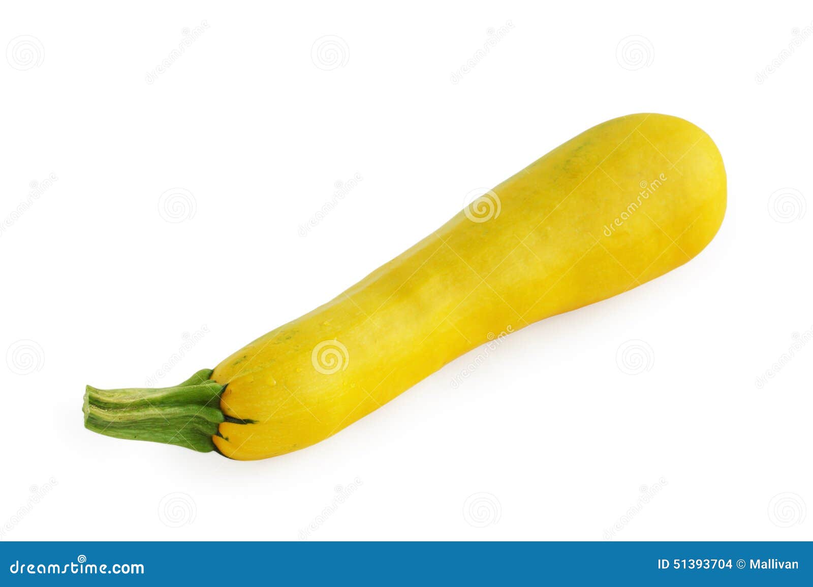 One zucchini stock photo. Image of drop, family, ripe - 51393704