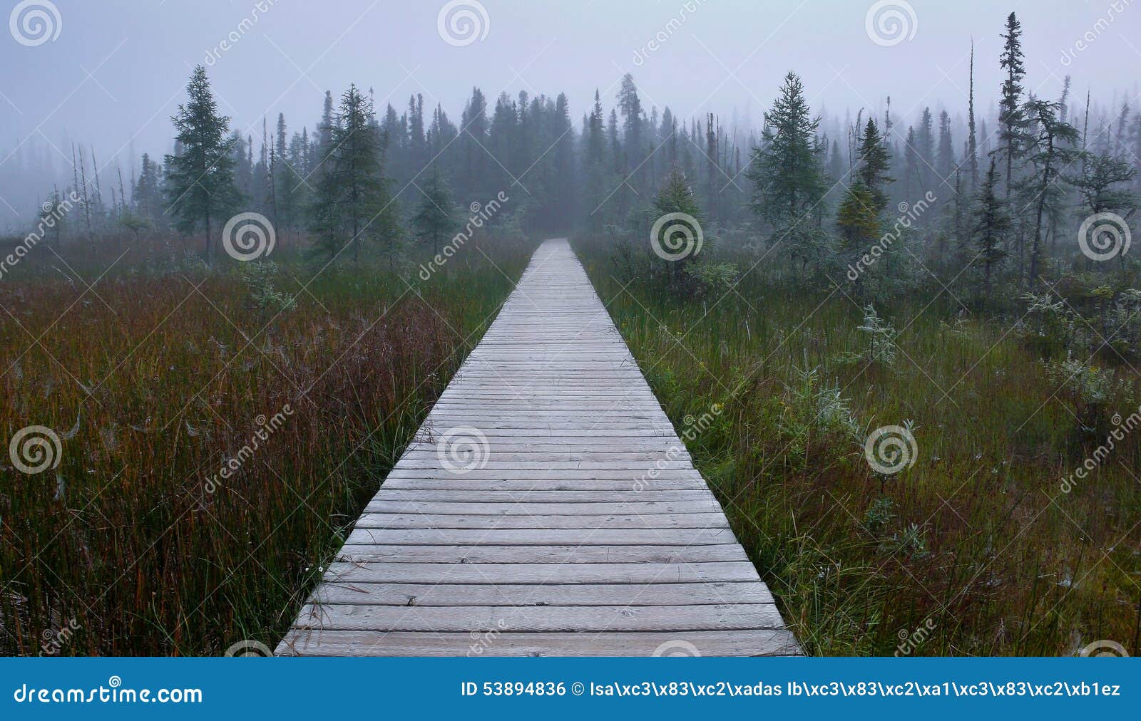 Oneindige weg stock foto. Image of colombia, canada, landschap - 53894836