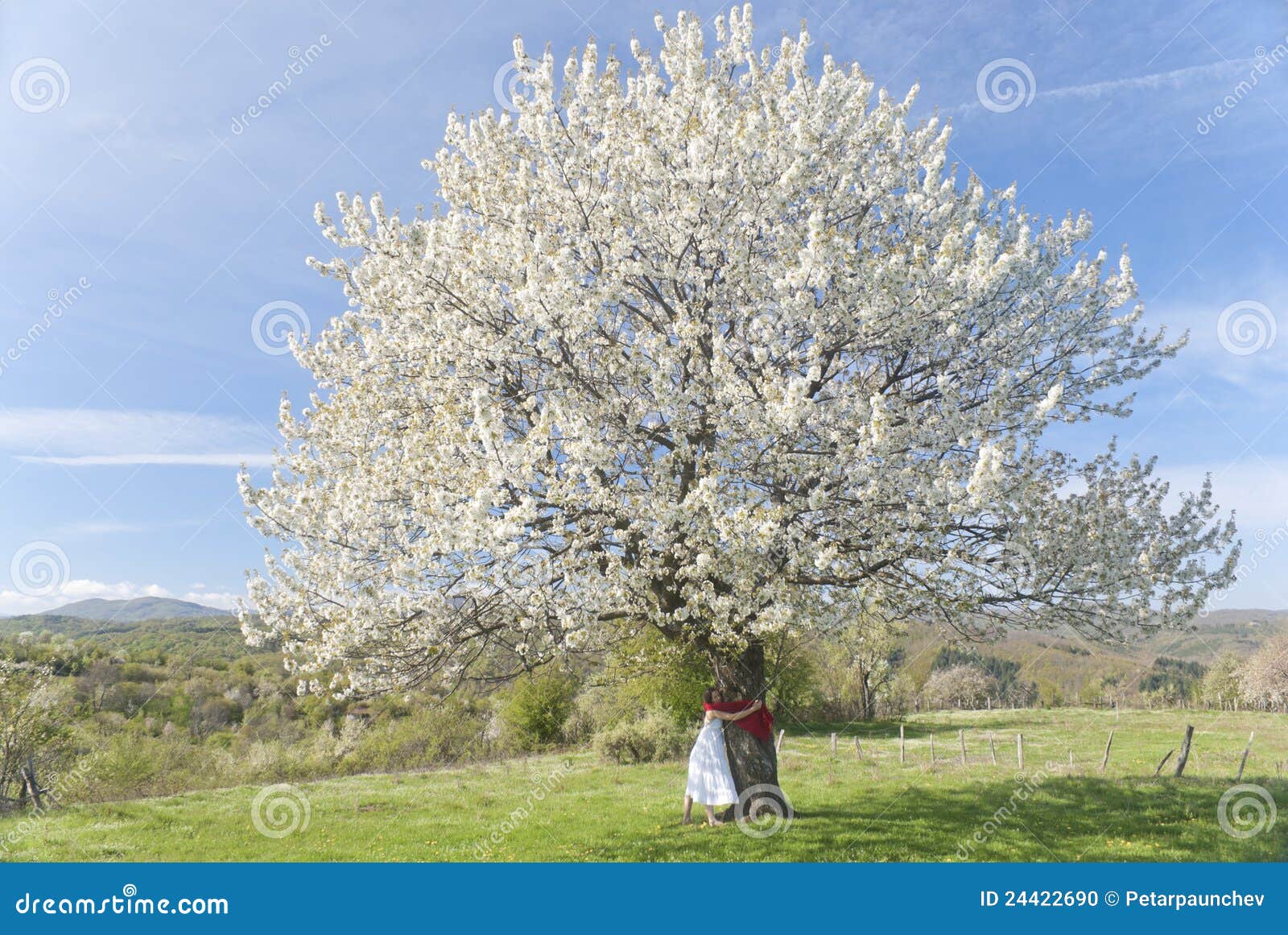 Oneness stock photo. Image of blossom, natural, beauty - 24422690