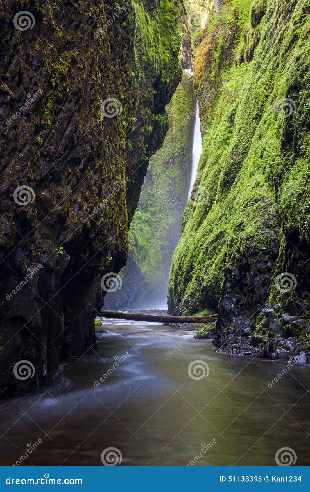 Oneonta Falls in Columbia River Gorge, Oregon Stock Image - Image of ...