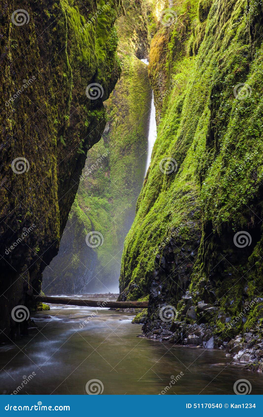 Oneonta Falls in Columbia River Gorge, Oregon Stock Photo - Image of ...