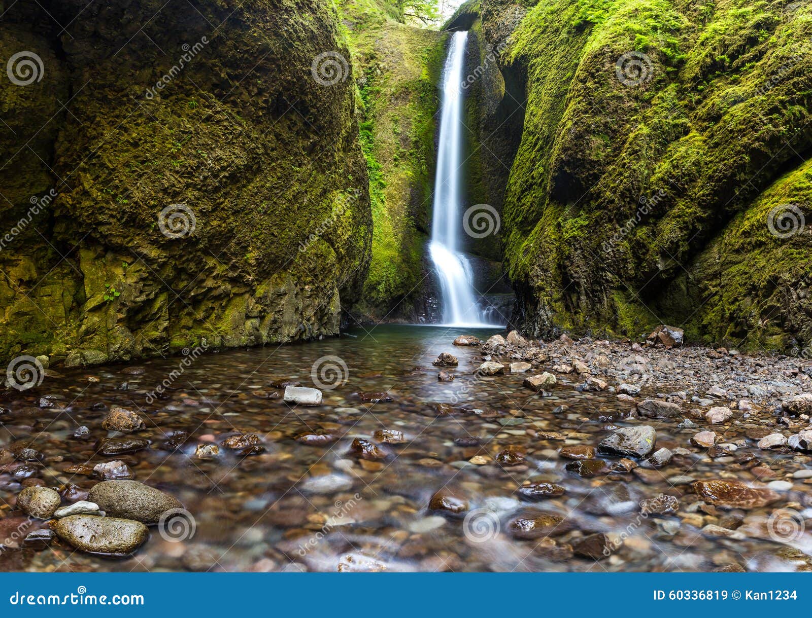 Oneonta Falls in Summer, Columbia River Gorge, Oregon. Stock Image ...