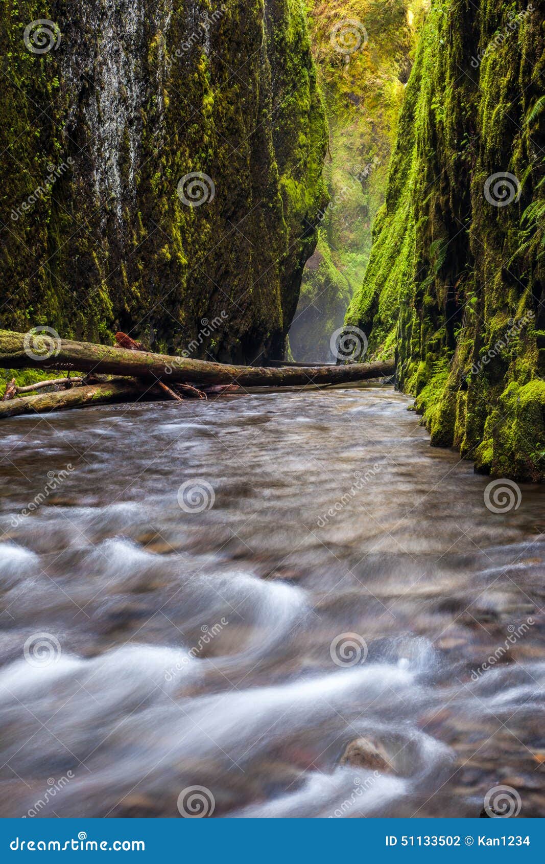 Oneonta Gorge Trail in Columbia River Gorge, Oregon Stock Photo - Image ...