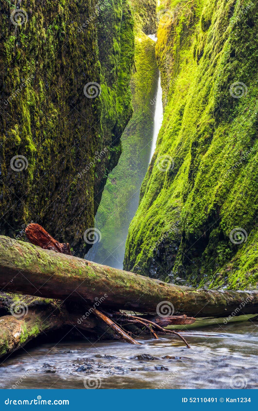 Oneonta Gorge Trail in Columbia River Gorge, Oregon Stock Image - Image ...