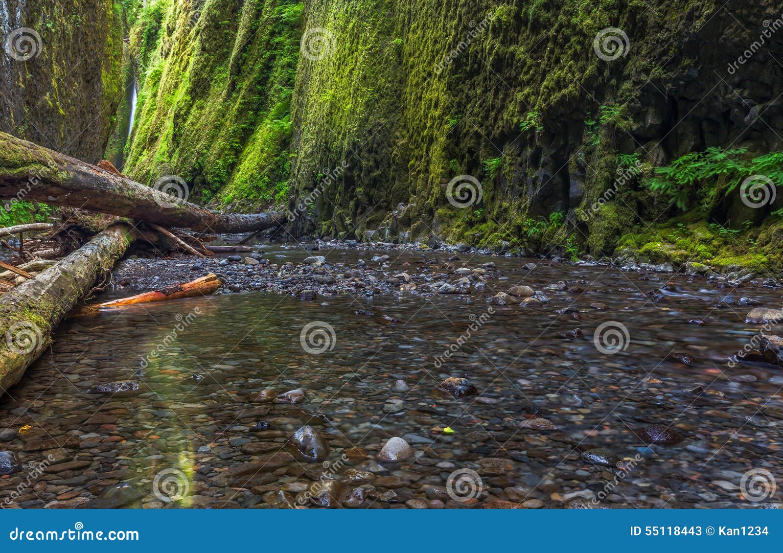 Oneonta Gorge Trail in Columbia River Gorge, Oregon. Stock Image ...