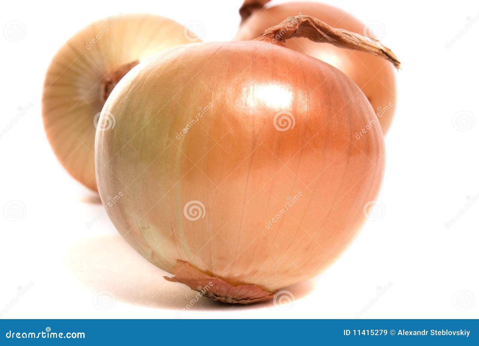 Onion stock image. Image of vegetarian, healthy, isolated - 11415279