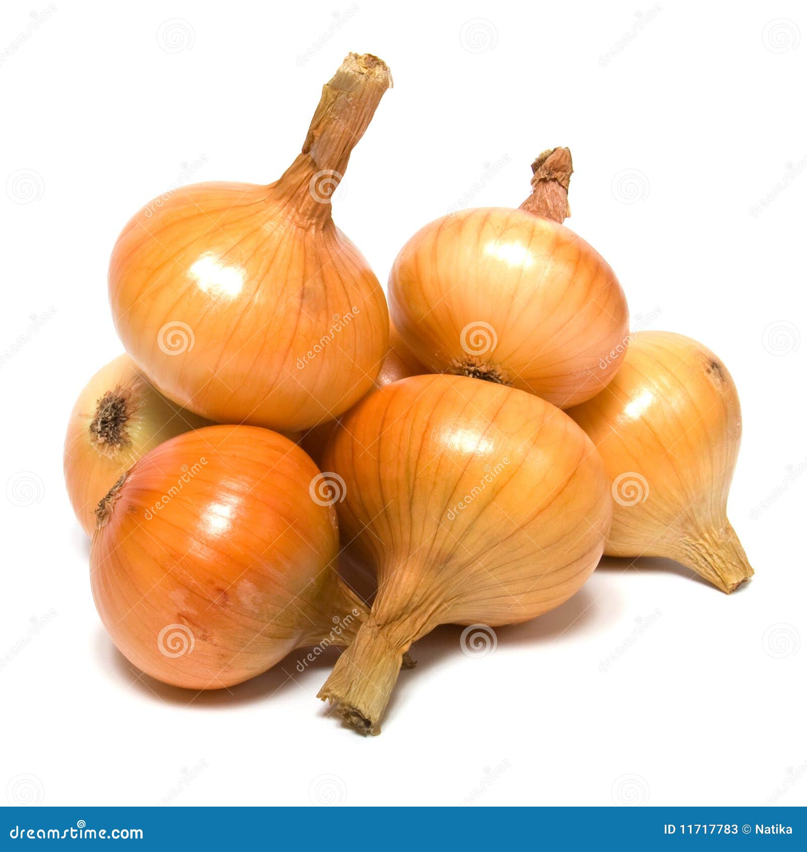 Onion stock image. Image of natural, food, closeup, life - 11717783