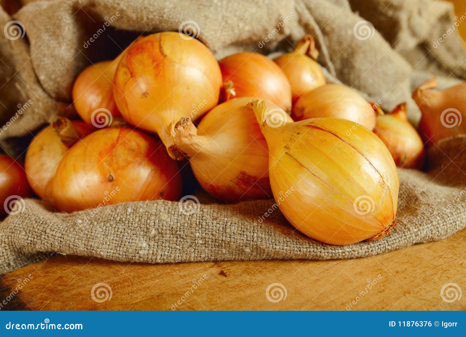 Onion stock photo. Image of group, ripe, heap, full, vegetable - 11876376