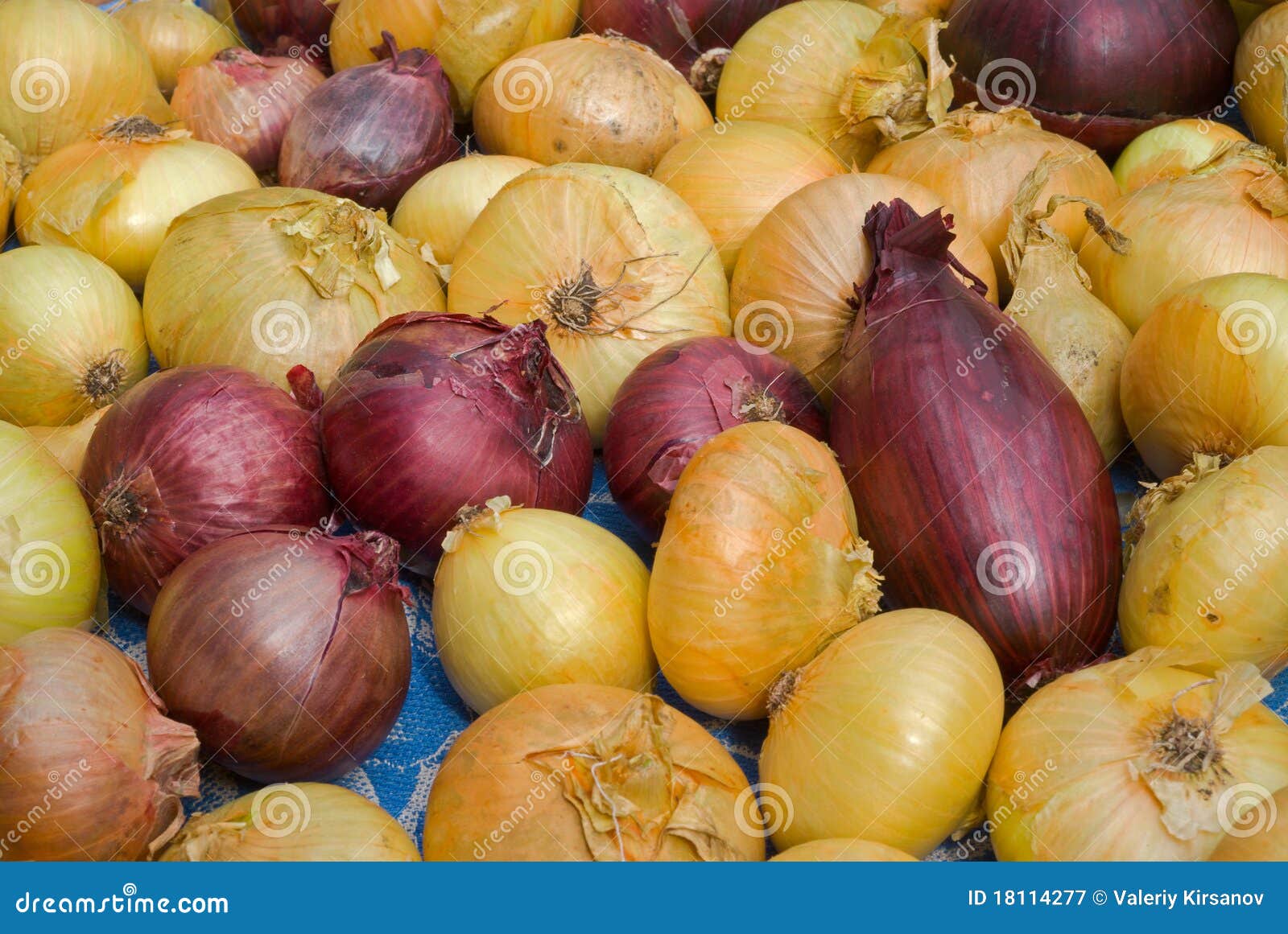 Drying Onion And Pepper On Porch Of Shynok Medieval Ukrainian ...