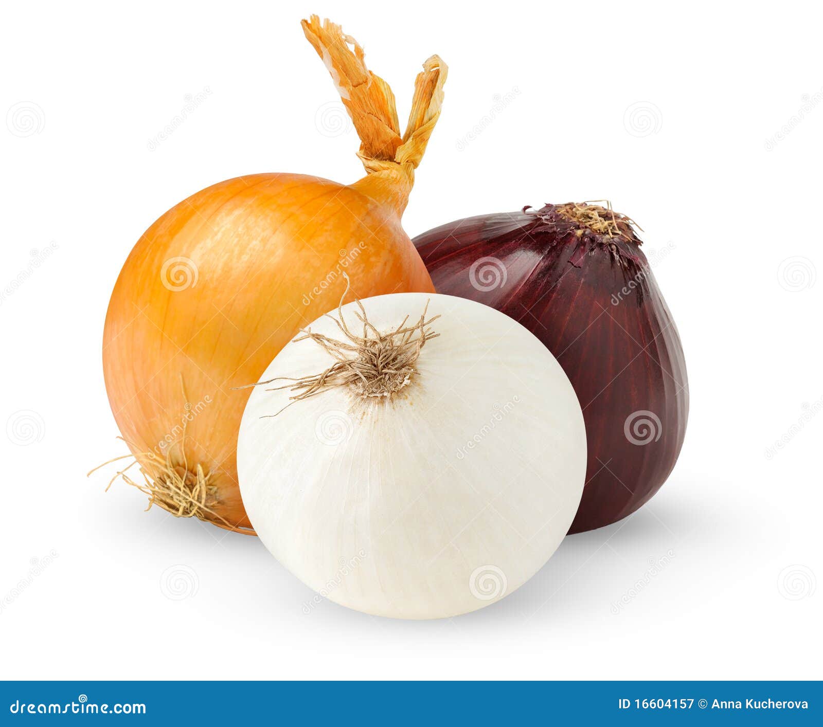 Onion stock image. Image of thee, pile, group, vegetable - 16604157