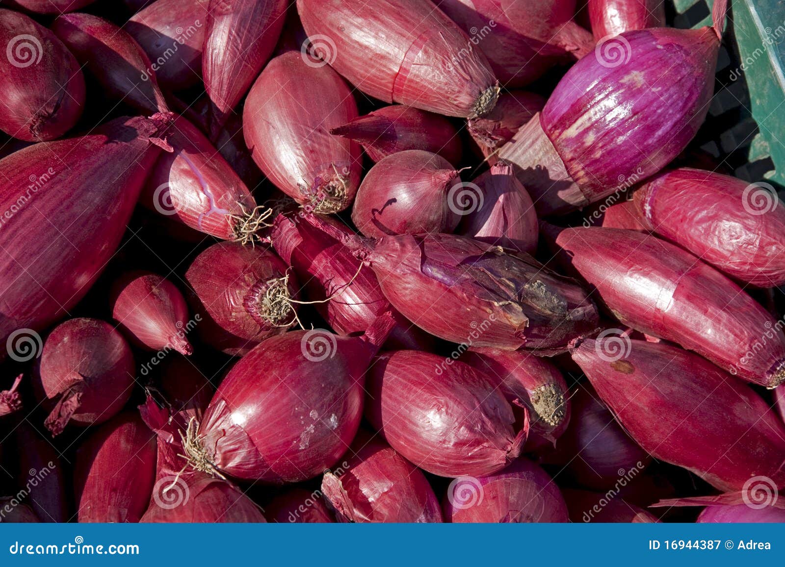 Red Onion. Background And Texture Royalty-Free Stock Image ...