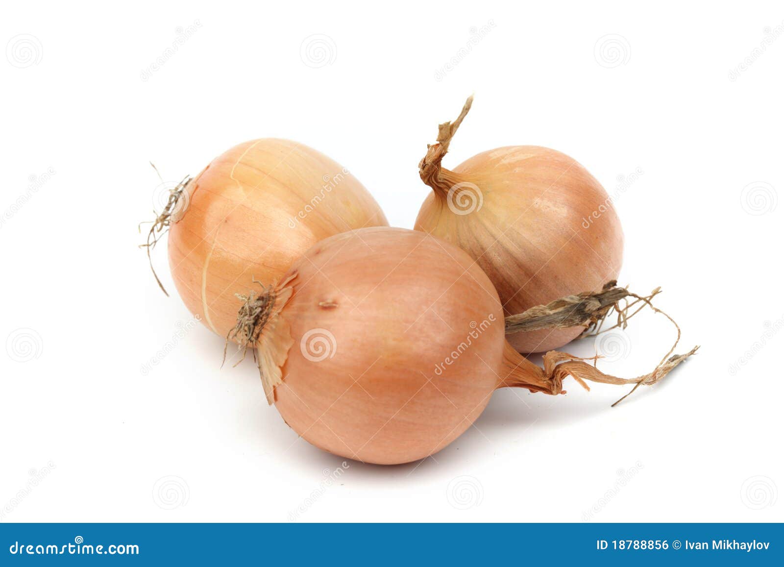 Onion stock photo. Image of natural, cooking, isolated - 18788856