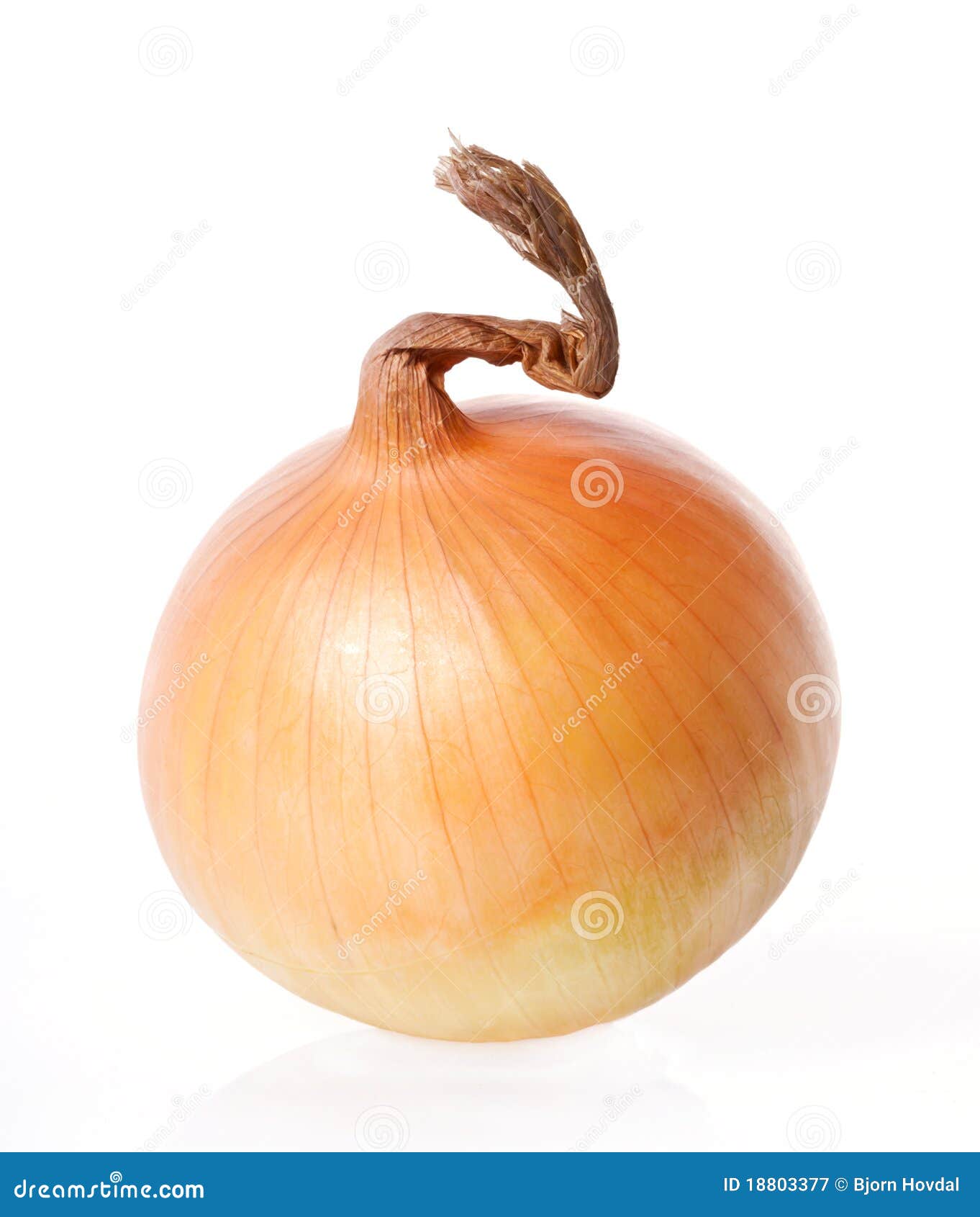 Onion stock image. Image of nourishment, vitamin, natural - 18803377