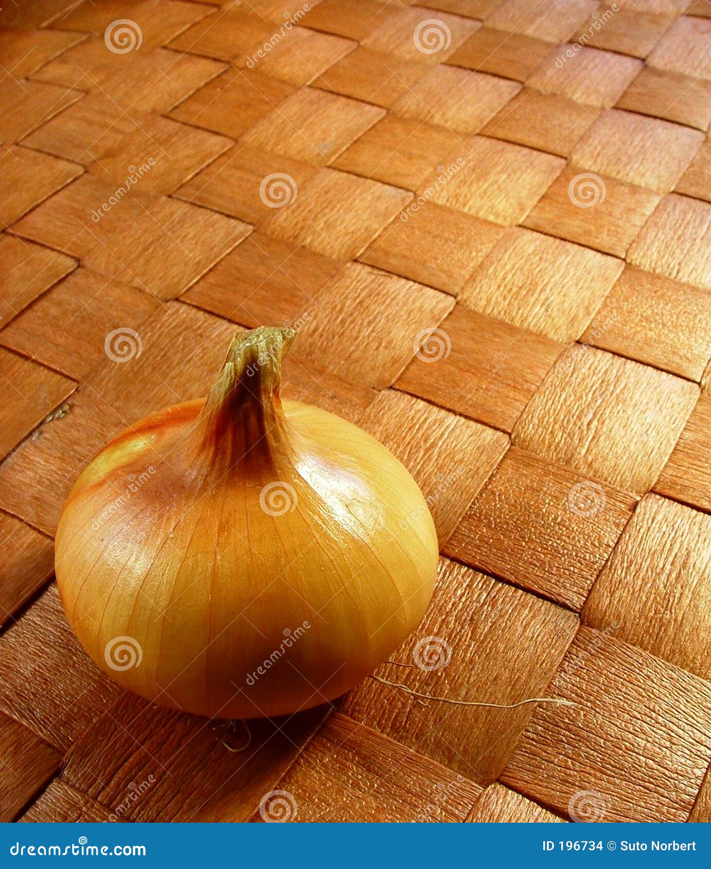 Onion stock photo. Image of colours, concepts, isolated - 196734